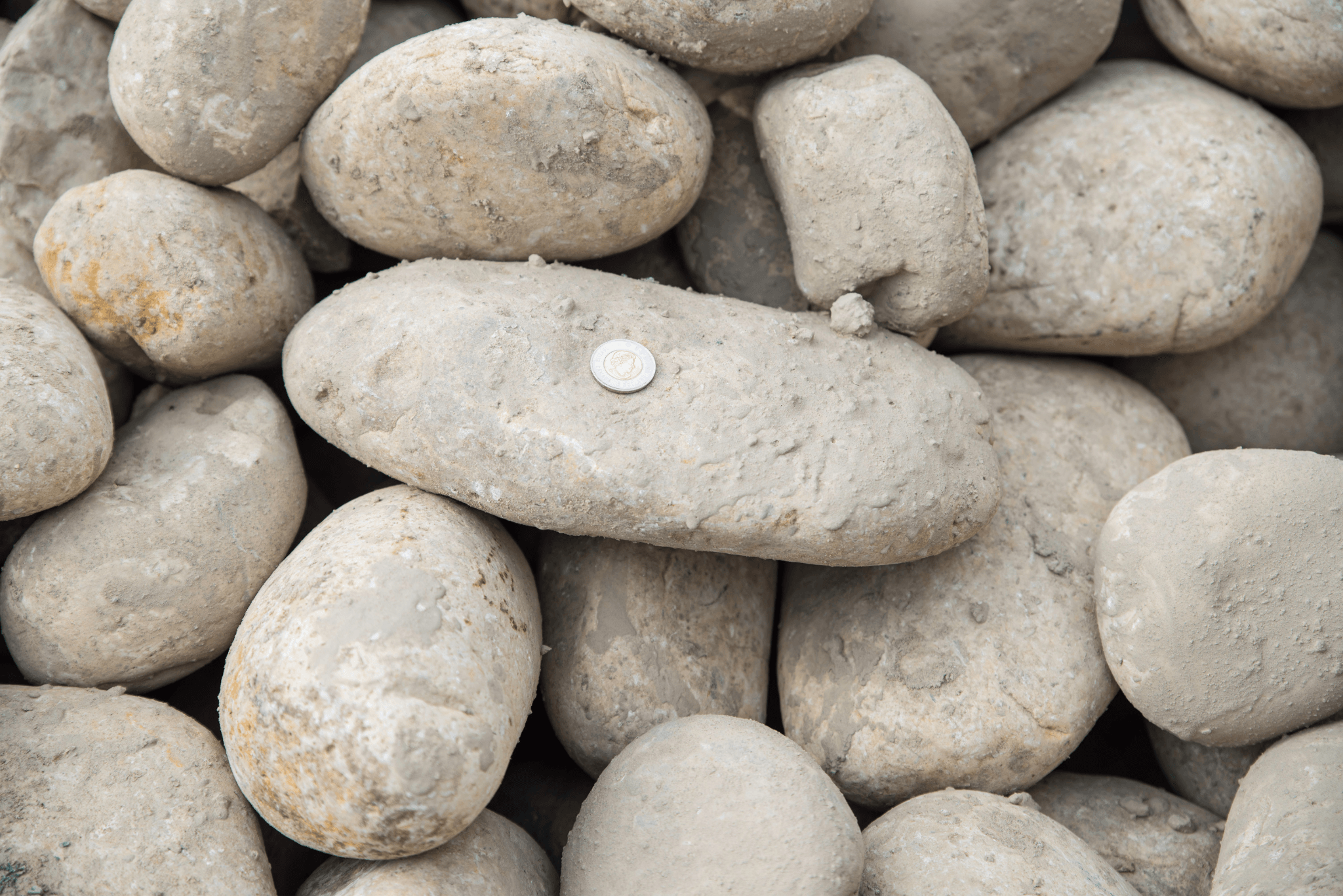 1 Yard 4-12 Inch ATHABASCA RIVER ROCK (Delivery Included) - The Gravel Guys